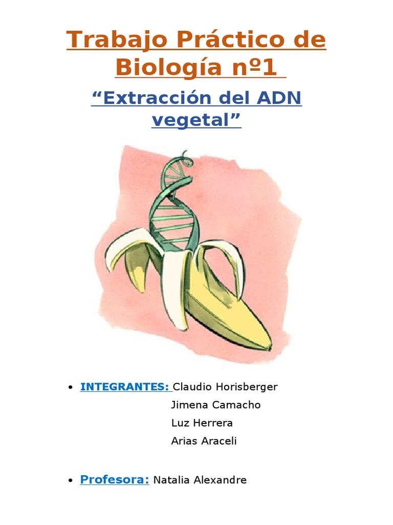 Extracción de ADN de Banana | PDF | Biología Celular) | Adn