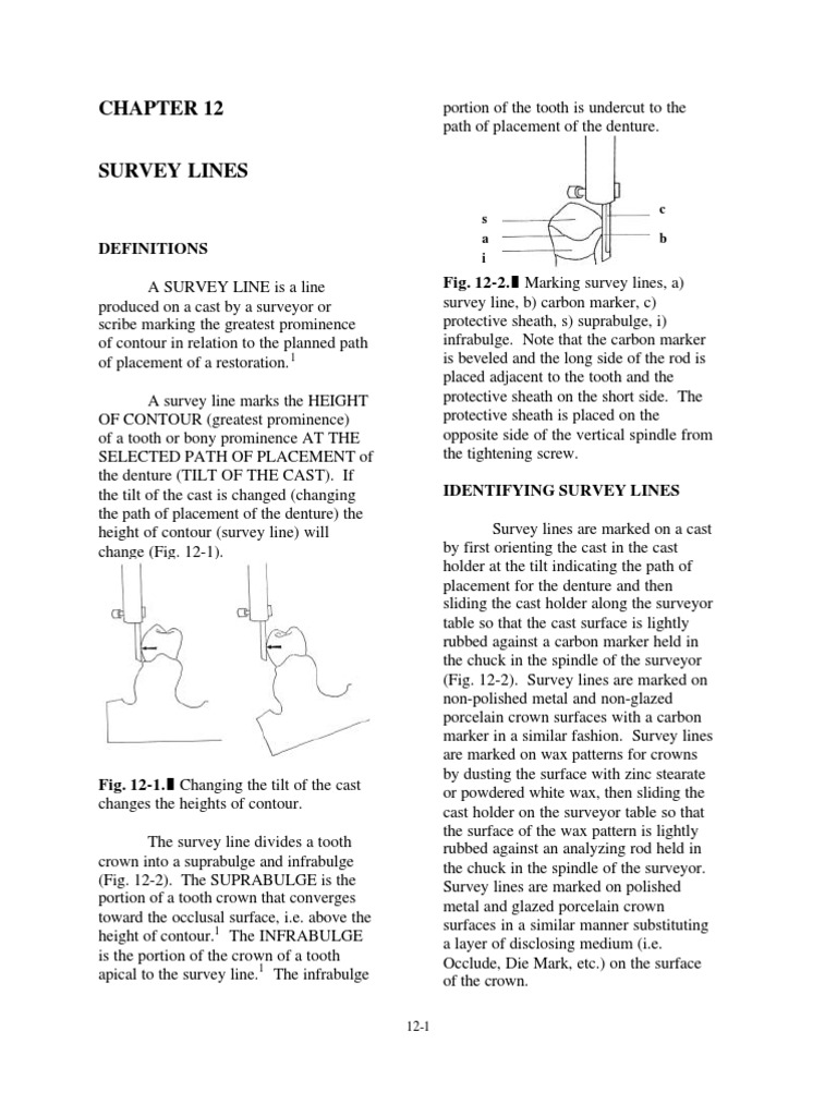 Chapter 12 Survey Lines | PDF | Tooth | Dental Anatomy