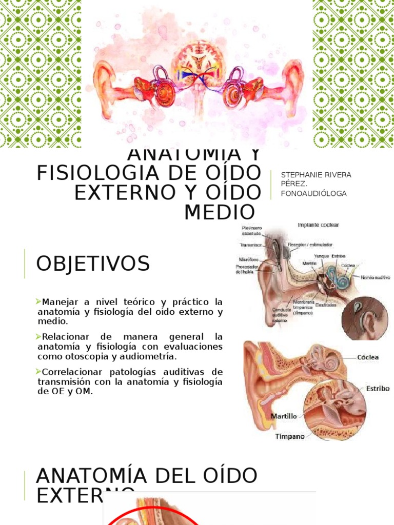 Anatomia Y Fisiologia De Oído Externo Y Oído Medio: Stephanie Rivera ...