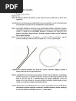 Anatomía y disección de la arteria mamaria interna | PDF | Tórax | Aorta