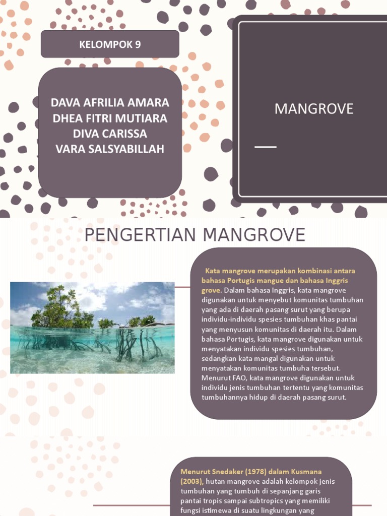 Ciri dan Fungsi Hutan Mangrove | PDF