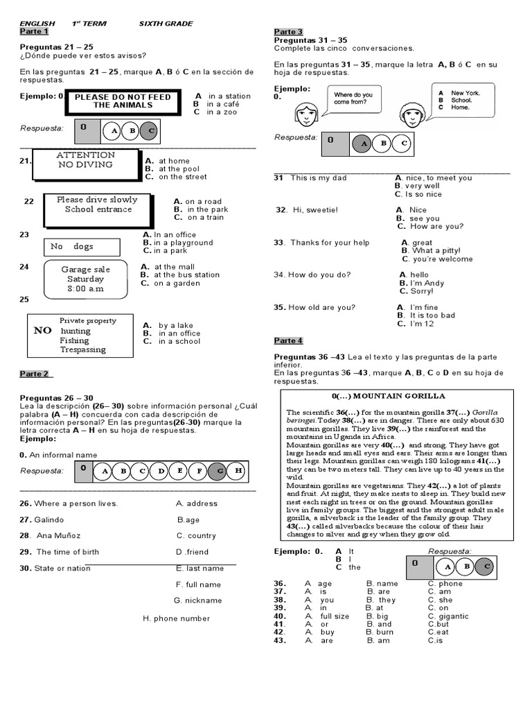 6th Grade Exam 1st Term | PDF | Gorilla