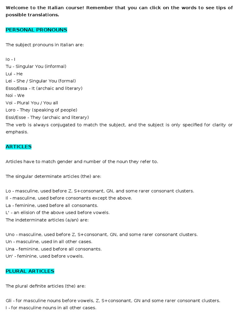 Italian Grammar Essentials for Beginners | PDF | Grammatical Gender ...