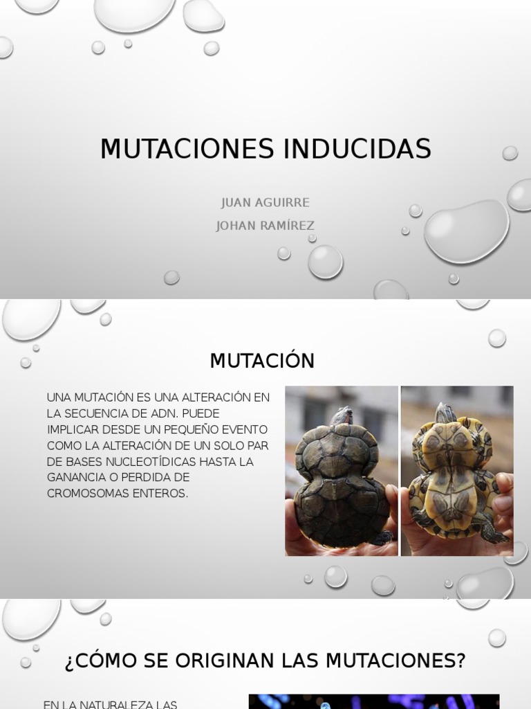Mutaciones Inducidas | PDF | Mutageno | Mutación