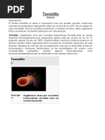 5 Microorganismos Termófilos y Sus Características | PDF | Las ...
