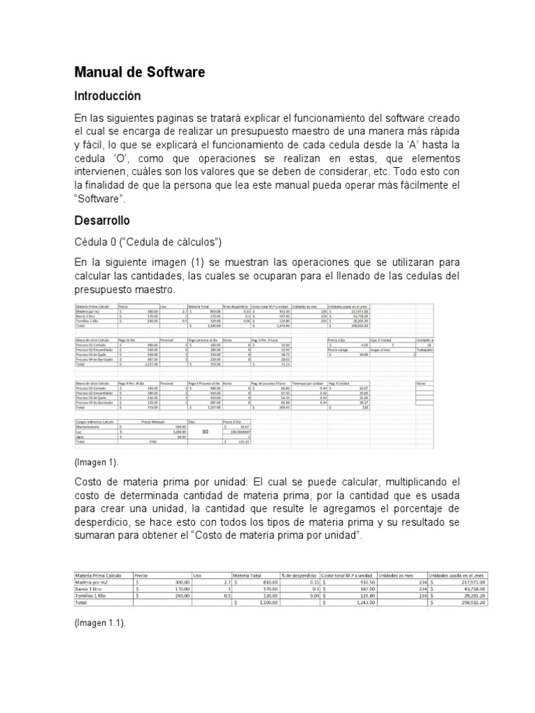 Manual de Uso del Software de Presupuesto | PDF | Costo | Presupuesto