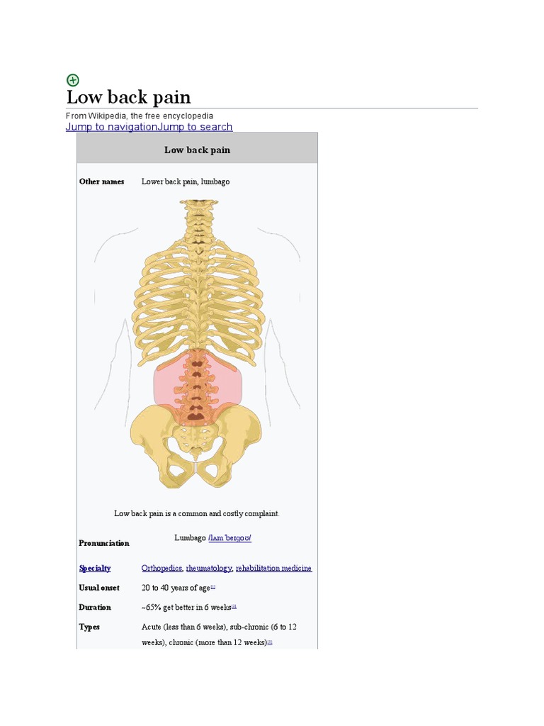 Low Back Pain: Jump To Navigation Jump To Search | PDF | Low Back Pain ...
