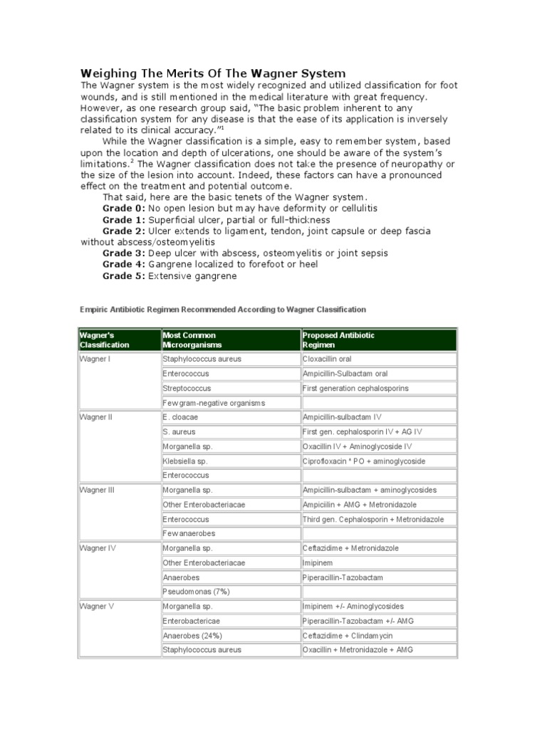 Evaluating the Wagner Classification System | PDF | Validity ...