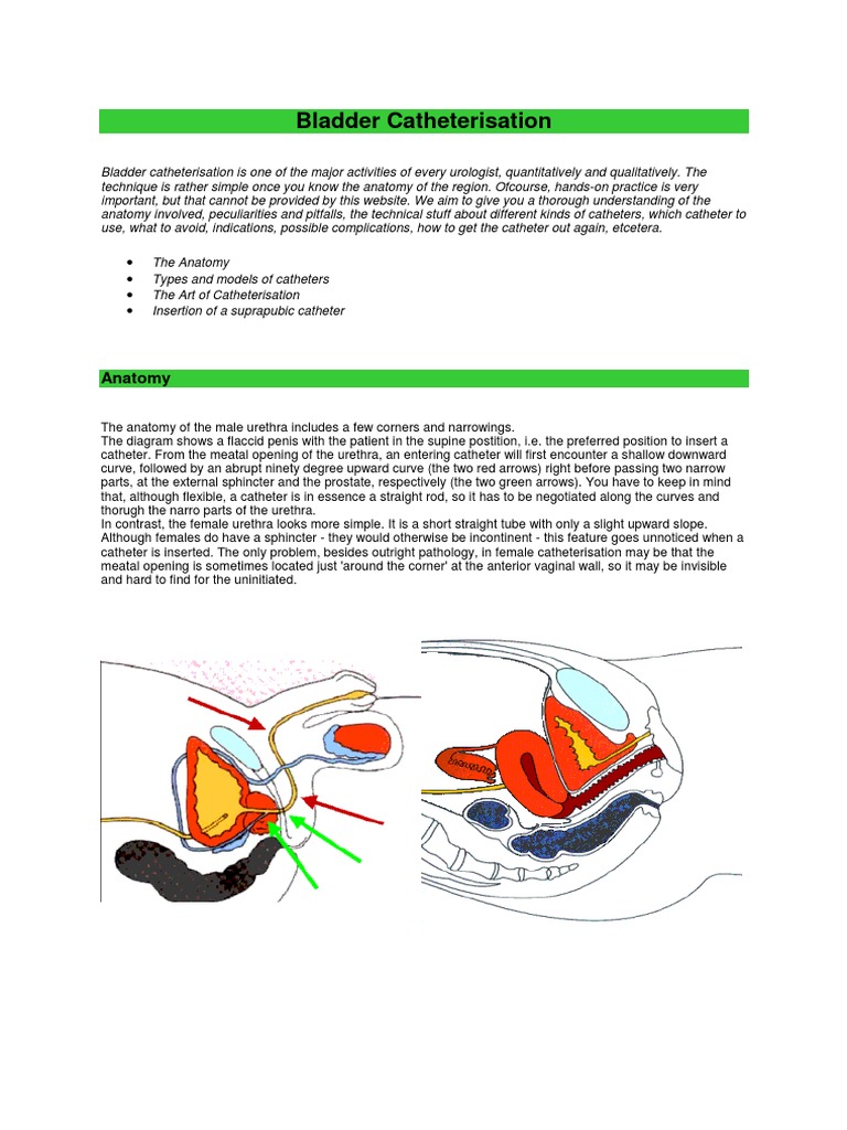 Comprehensive Guide To Bladder Catheterization Pdf Catheter Balloon