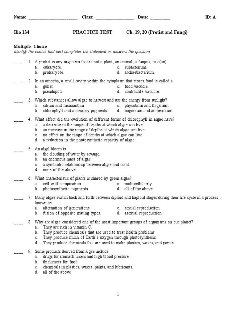 Protist and Fungi Practice Test | PDF | Fungus | Algae