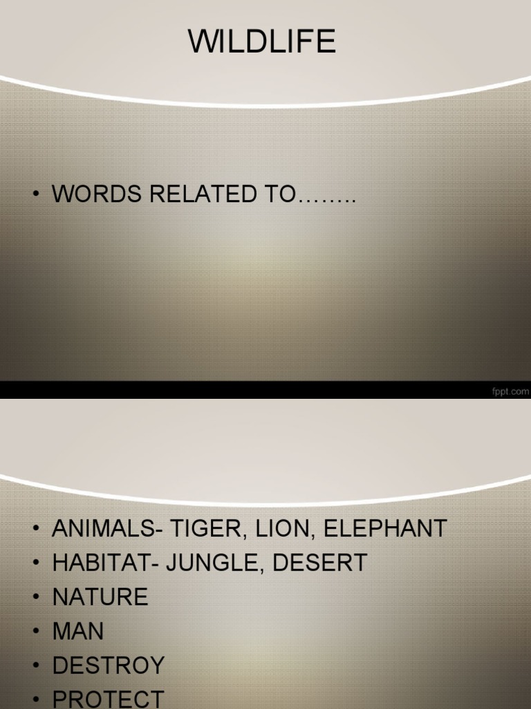 Wildlife: - Words Related To . | PDF