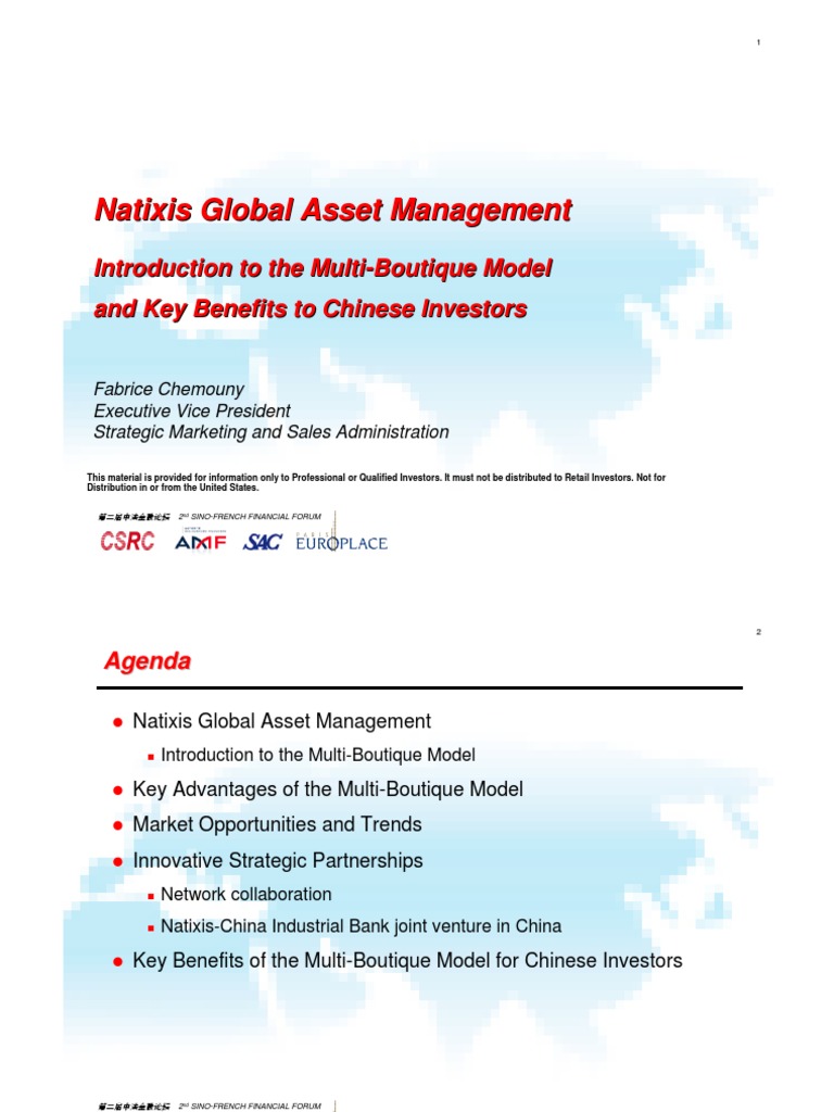 Natixis Global Asset Management | PDF | Investment Management | Bonds ...