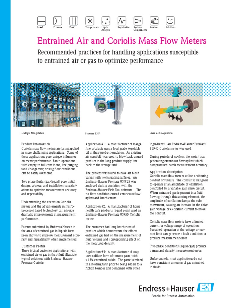 E+H Entrained Air | PDF | Gases | Fluid Dynamics