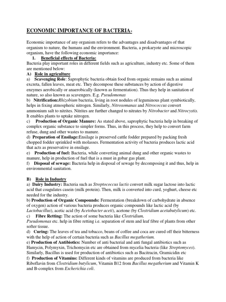 Bacteria Importance PDF | PDF | Bacteria | Manure