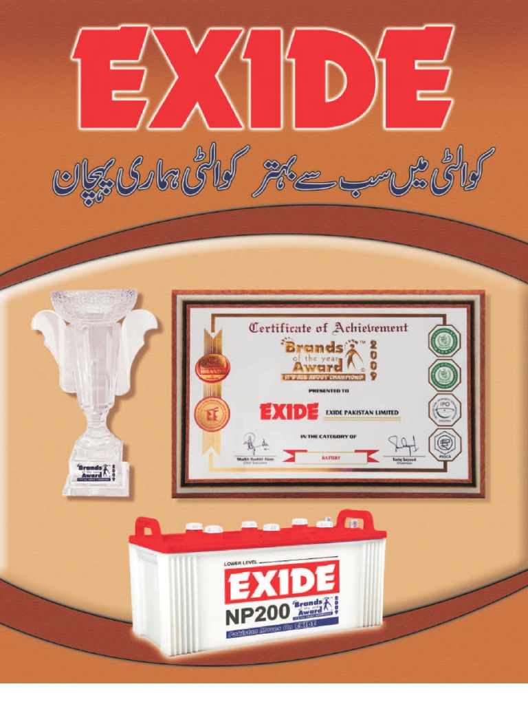 Exide Report 2010 | PDF | Financial Audit | Board Of Directors