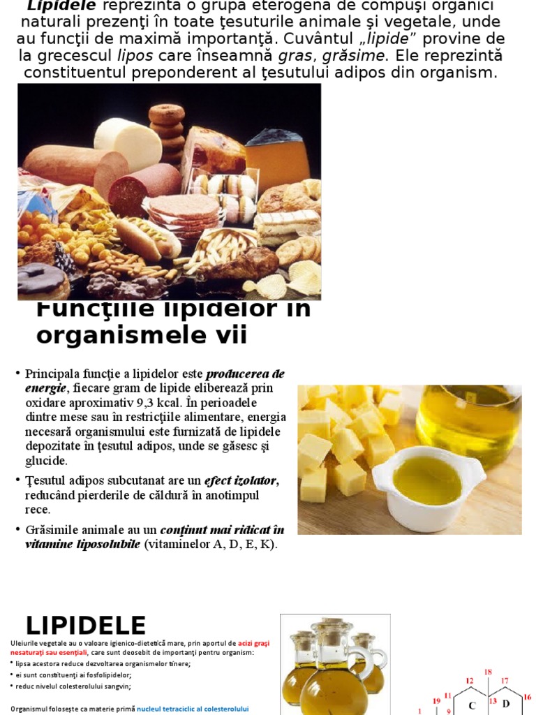 Lipide in Industria Alimentară | PDF