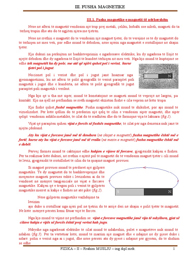 3 Fusha Magnetike | PDF