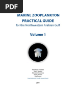Pdf Marine Zooplankton Practical Guide Volume 1 Frontiers | Modeling