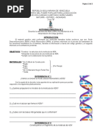 Actividades Resp Celular | PDF