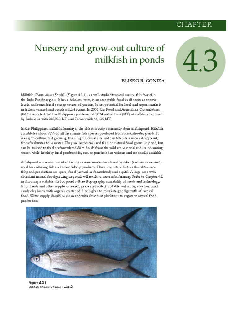 Cultivating Success: A Comprehensive Guide to Milkfish Farming ...