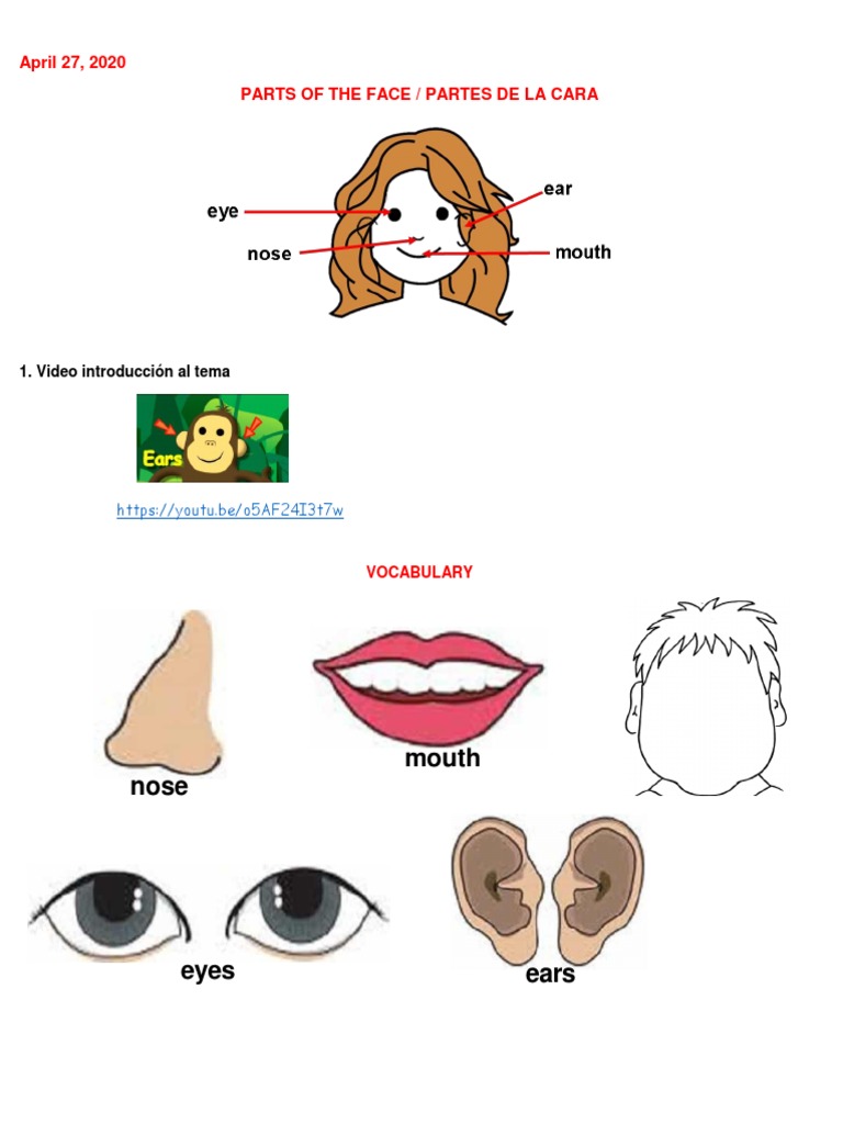 Clase y Actividad de Inglés Partes de La Cara 27 de Abril L PDF | PDF