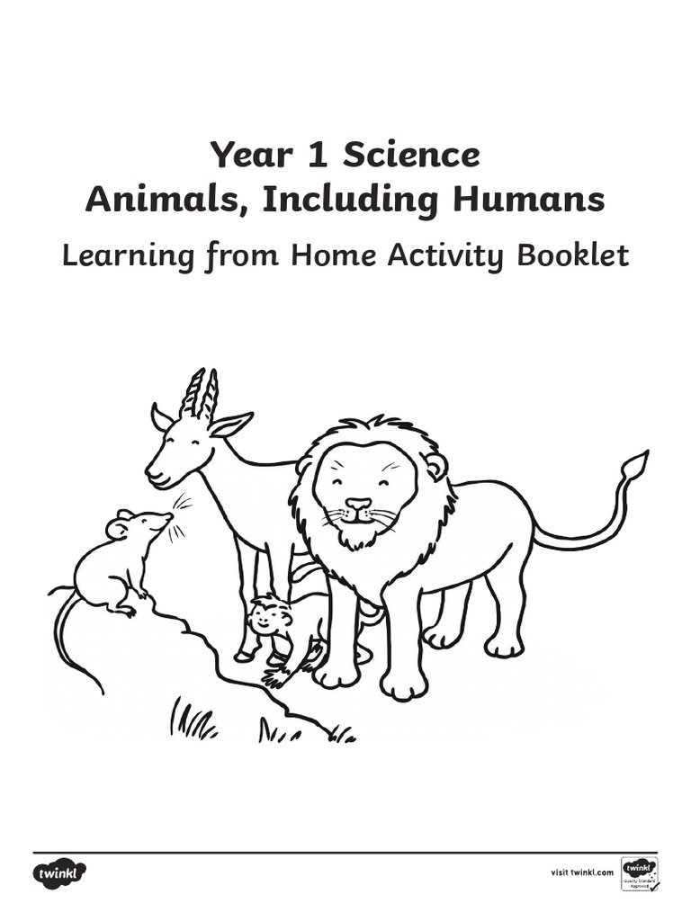 Year 1 Science Animals, Including Humans: Learning from Home Activity ...