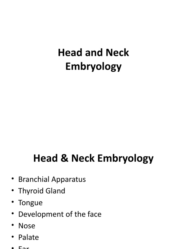 Development of the Head and Neck: Embryology of the Branchial Arches ...
