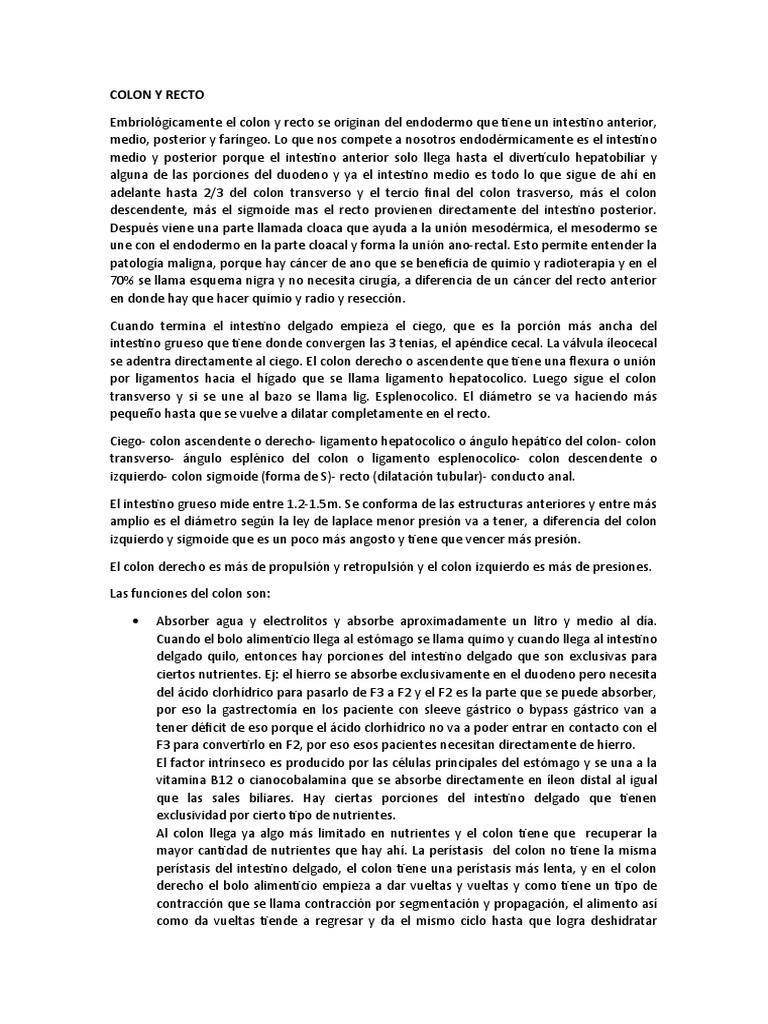 Anatomía y Funciones del Colon y Recto | PDF | Intestino grueso ...