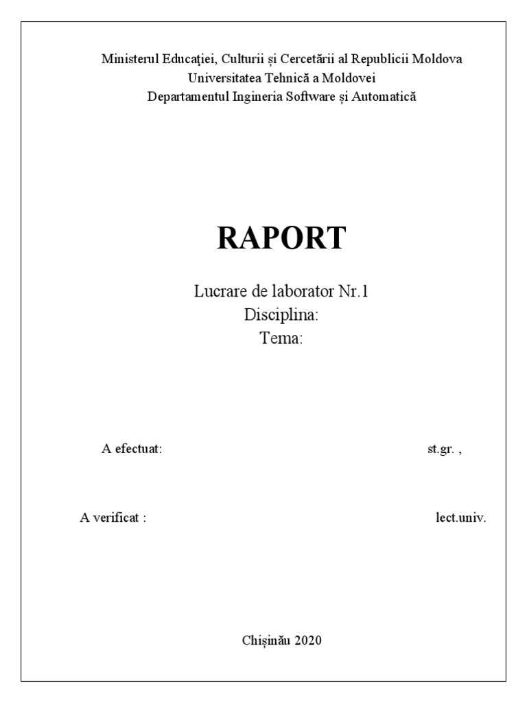 Model Raport | PDF