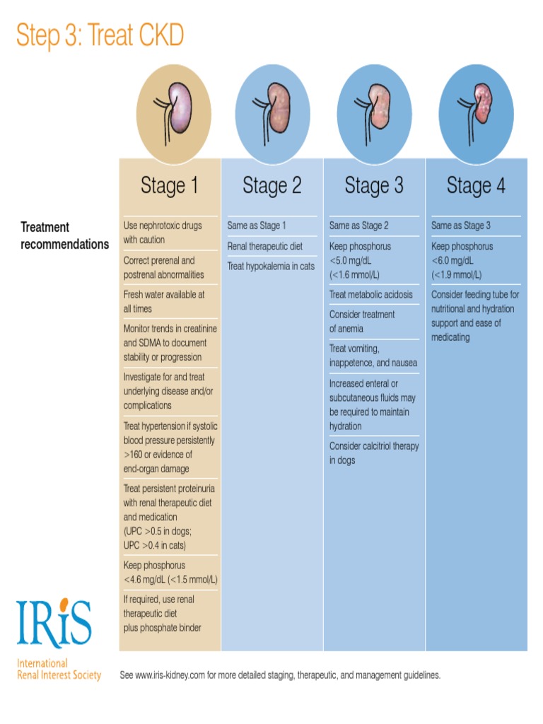 Stage 1 Stage 2 Stage 3 Stage 4: Treatment Recommendations | Download ...