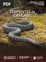 Investigación sobre serpientes de cascabel | PDF | Serpientes venenosas ...