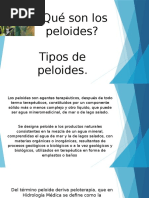 Peloides y Parapeloides en Termoterapia | PDF | Agua | Sólido