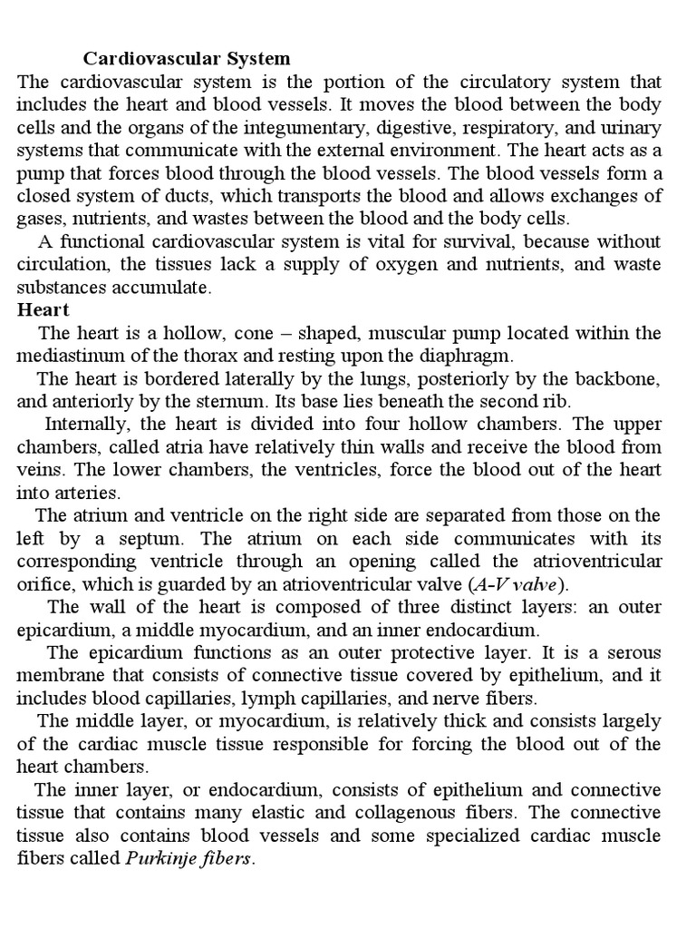 Cardiovascular System | PDF