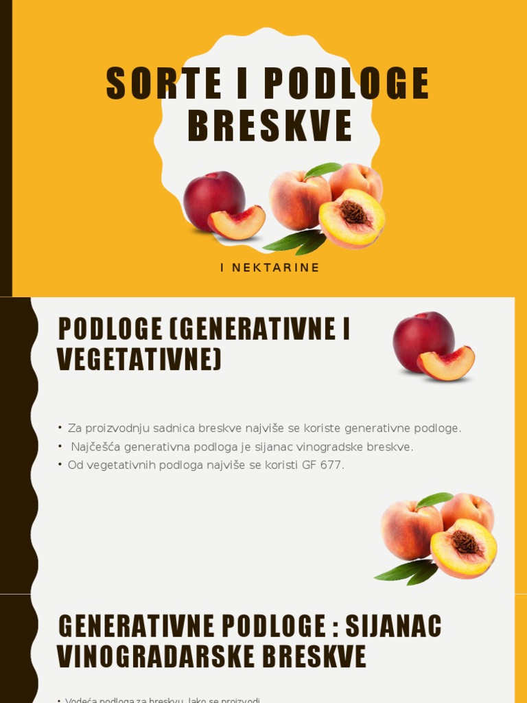 Sorte Breskve | PDF