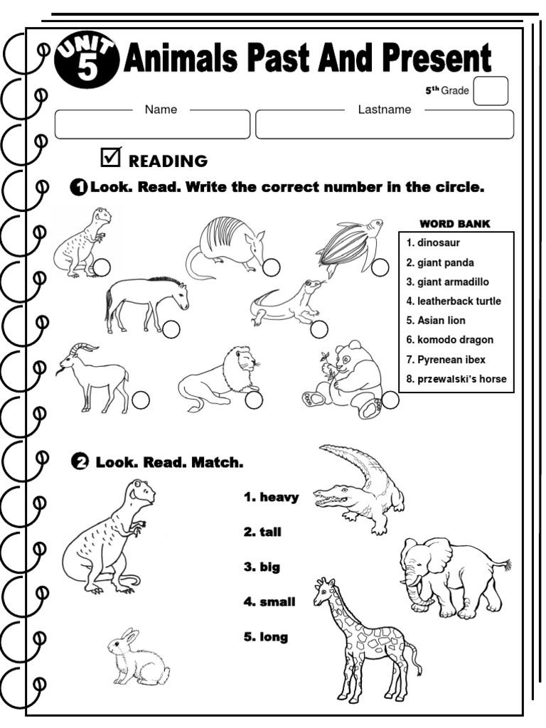 Past and Present Animals for Kids | PDF | Organisms | Nature
