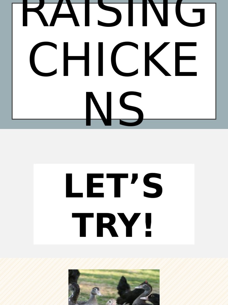 Grade 5 - HELE - RAISING CHICKENS | PDF