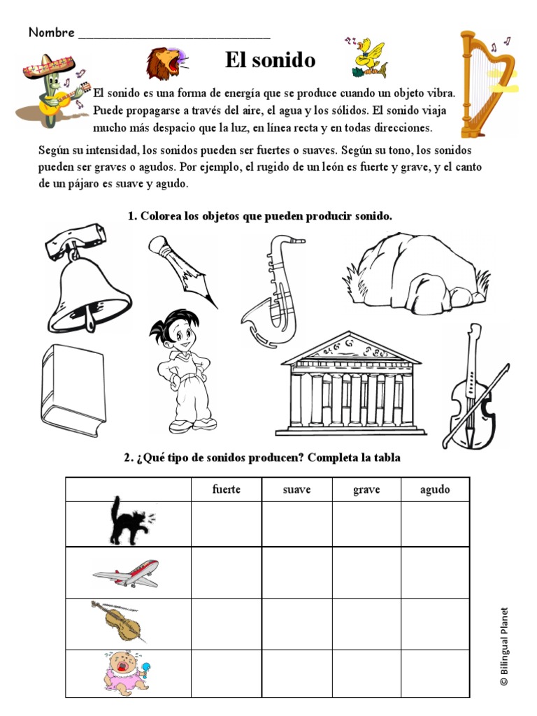 Objetos que Producen Sonido | PDF