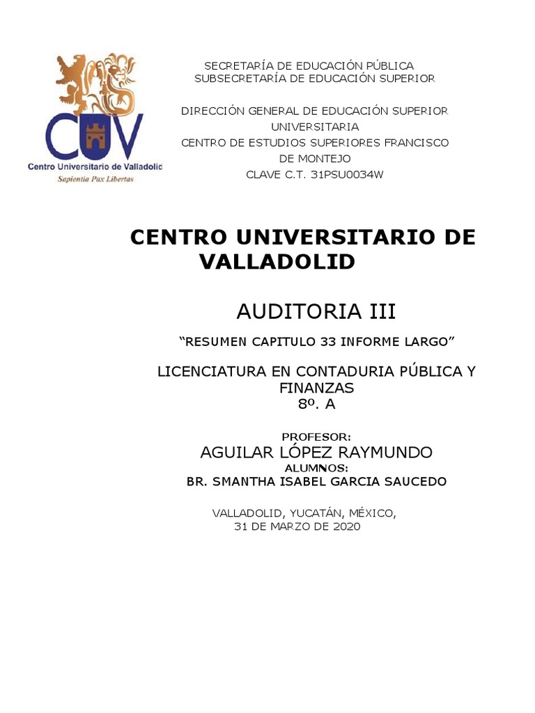Informe Largo | PDF | Auditoría | Contabilidad