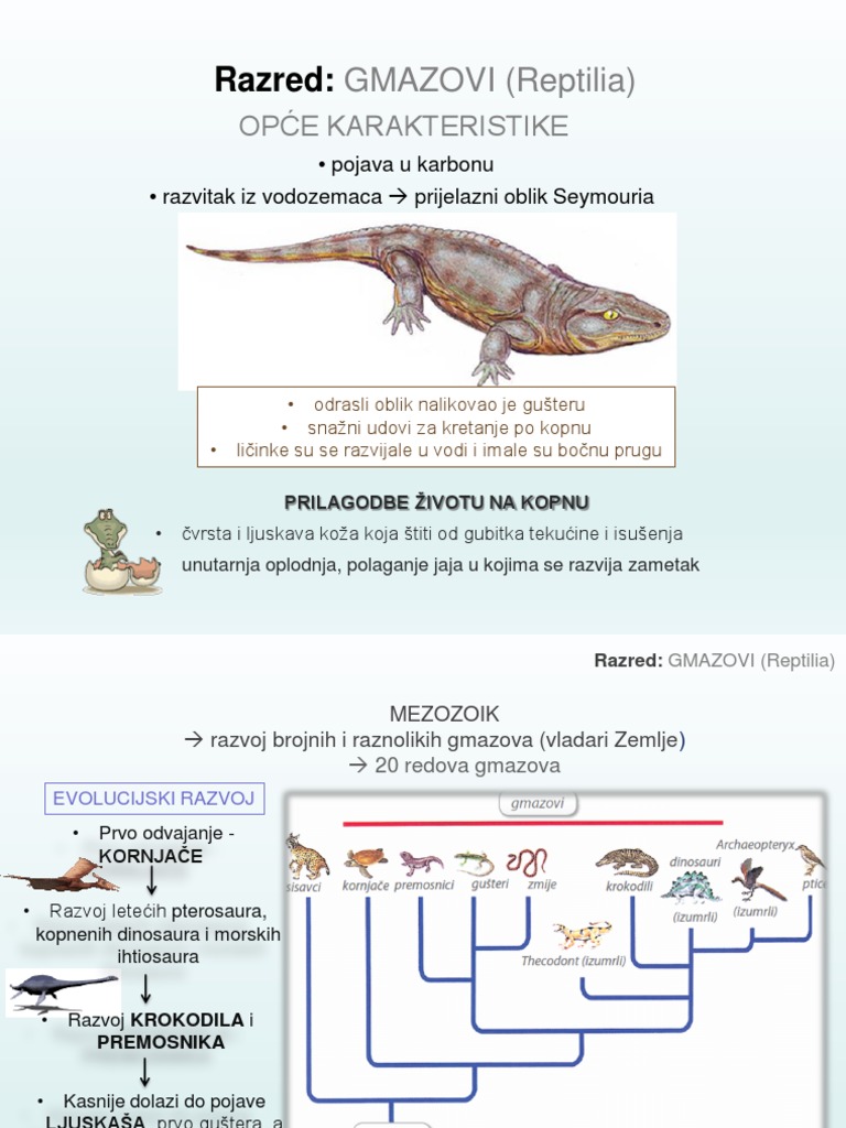 Gmazovi (Reptilia) | PDF