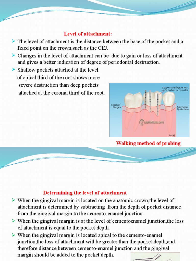 Level of Attachment | PDF | Periodontology | Dentistry