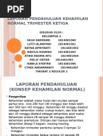 Konsep Asuhan Keperawatan Dengan Kasus Sistemik Lupus Erythemstosus (Sle) | PDF