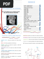 Arco Transpalatino ATP | PDF | Ramas de Odontología