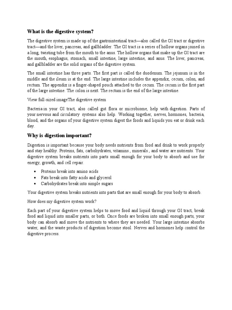 What Is The Digestive System? | PDF | Gastrointestinal Tract | Human ...