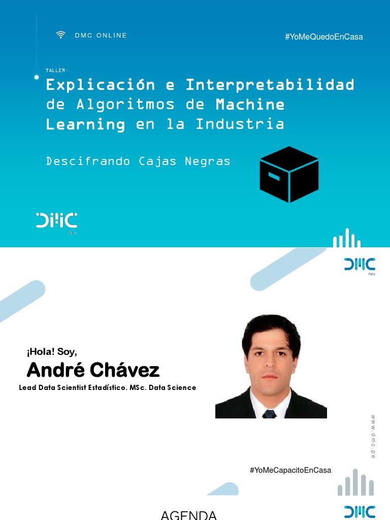 Interpretabilidad en Machine Learning | PDF