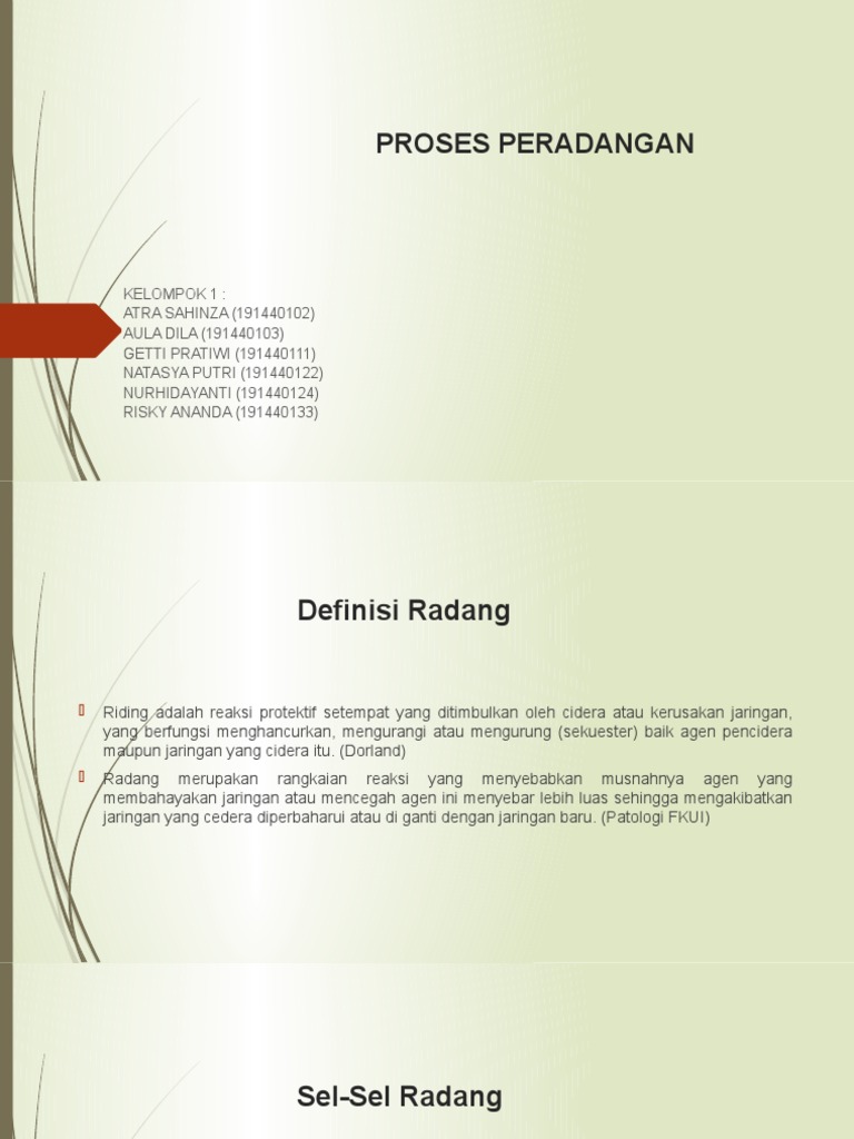 Proses Peradangan dan Penatalaksanaan Faringitis Akut | PDF