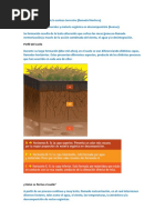 Capas Del Suelo | PDF | Suelo | Erosión