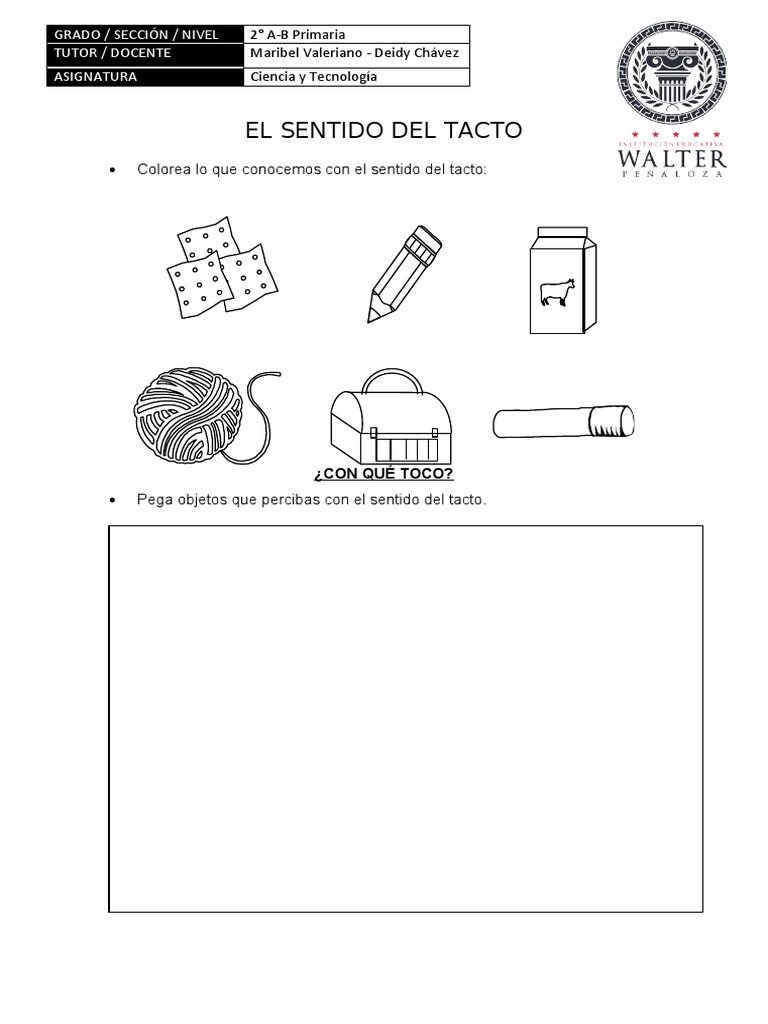 Hojas De Trabajo Sobre El Sentido Del Tacto