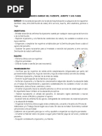 Ingreso y Egreso Del Paciente | PDF | Hospital | Medicina