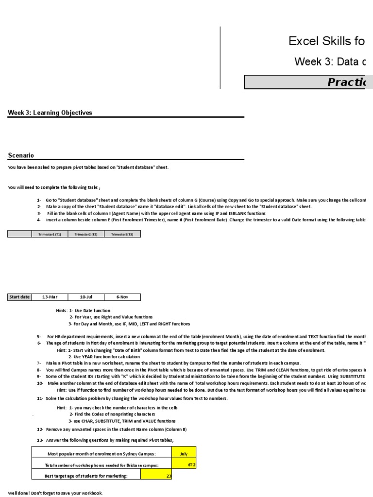 C4.W3 Practice CH Solution Behnaz | PDF | Databases | Microsoft Excel