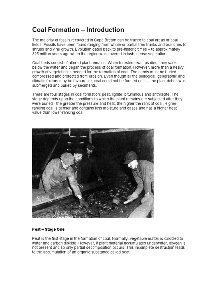 Coal Formation Text | PDF | Peat | Coal